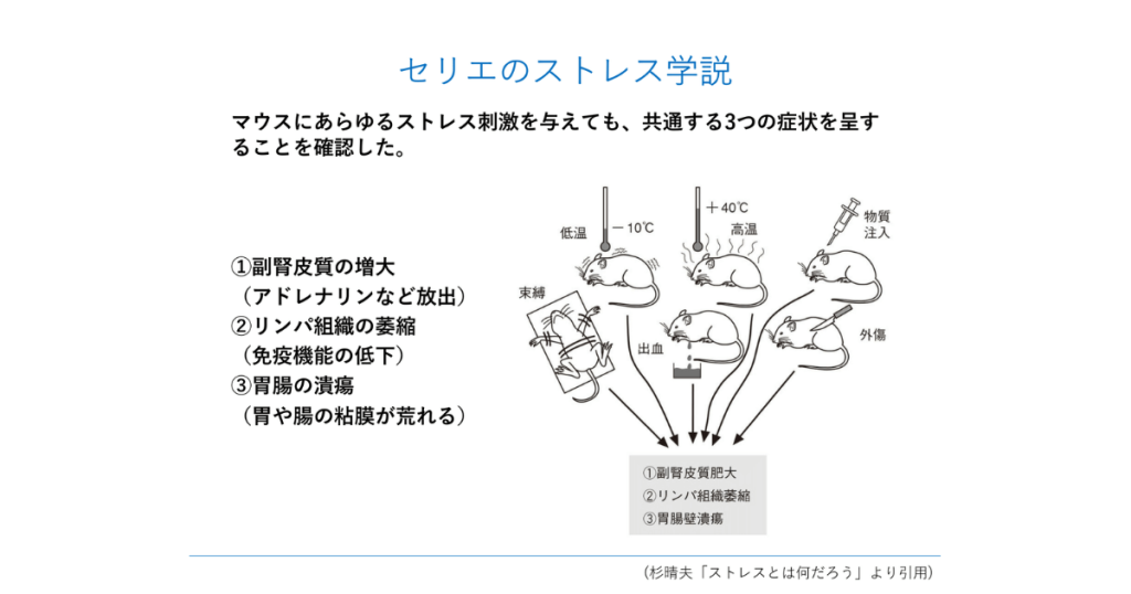 心のHPゼロなエンジニア必見！「メンタル・クエスト」 – エンジニアの処方箋 Vol.2 | Forkwell Press | フォークウェルプレス
